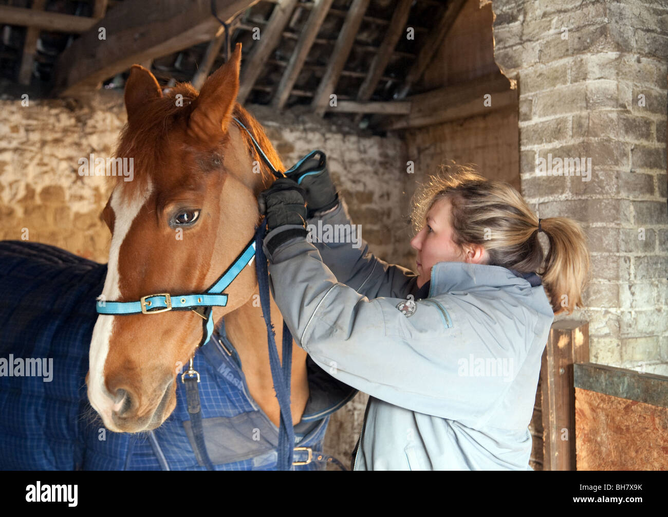 Stable Girls Stock Photos & Stable Girls Stock Images - Alamy