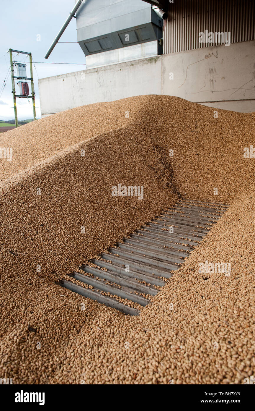 Dried beans uk hi-res stock photography and images - Alamy