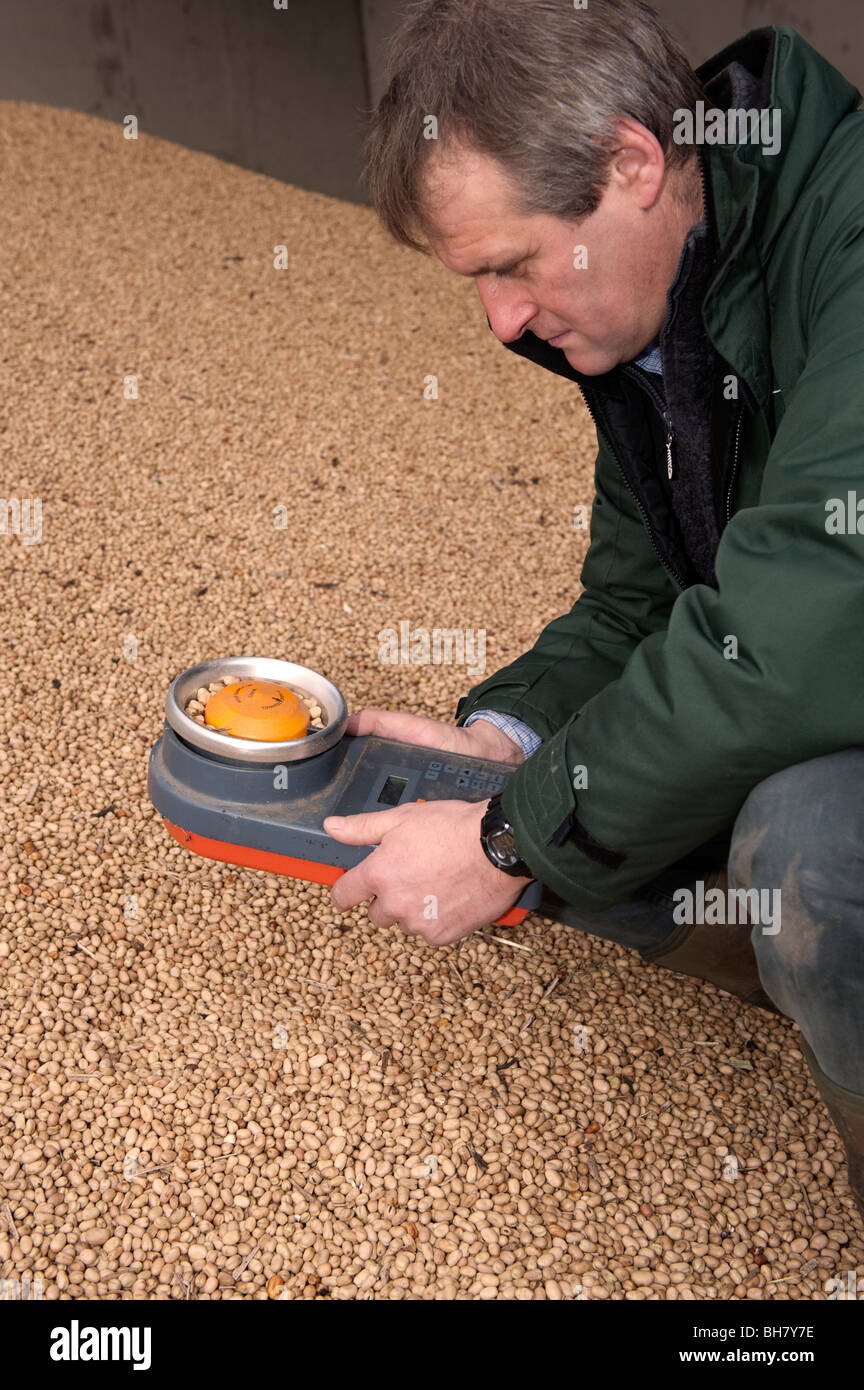 Moisture test hi-res stock photography and images - Alamy