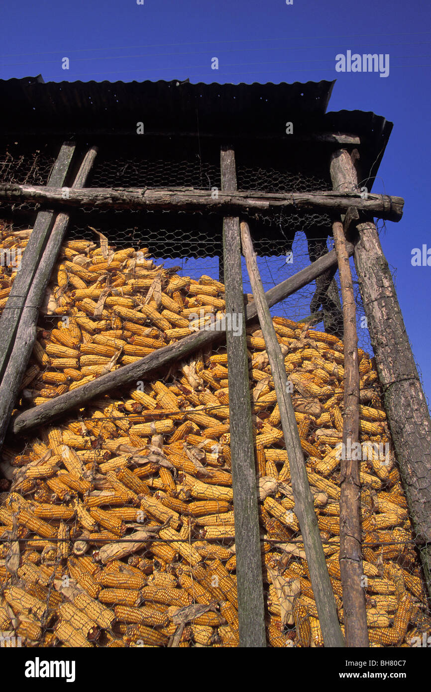 OPEN-AIR CORN SILO Stock Photo - Alamy