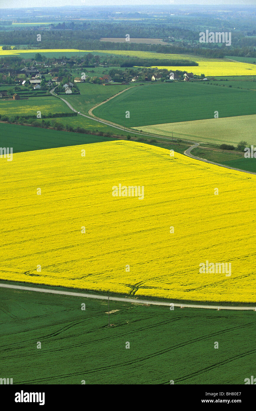 AERIAL VIEW OF PARCELS OF COLZA FIELDS, ORNE (61 Stock Photo - Alamy