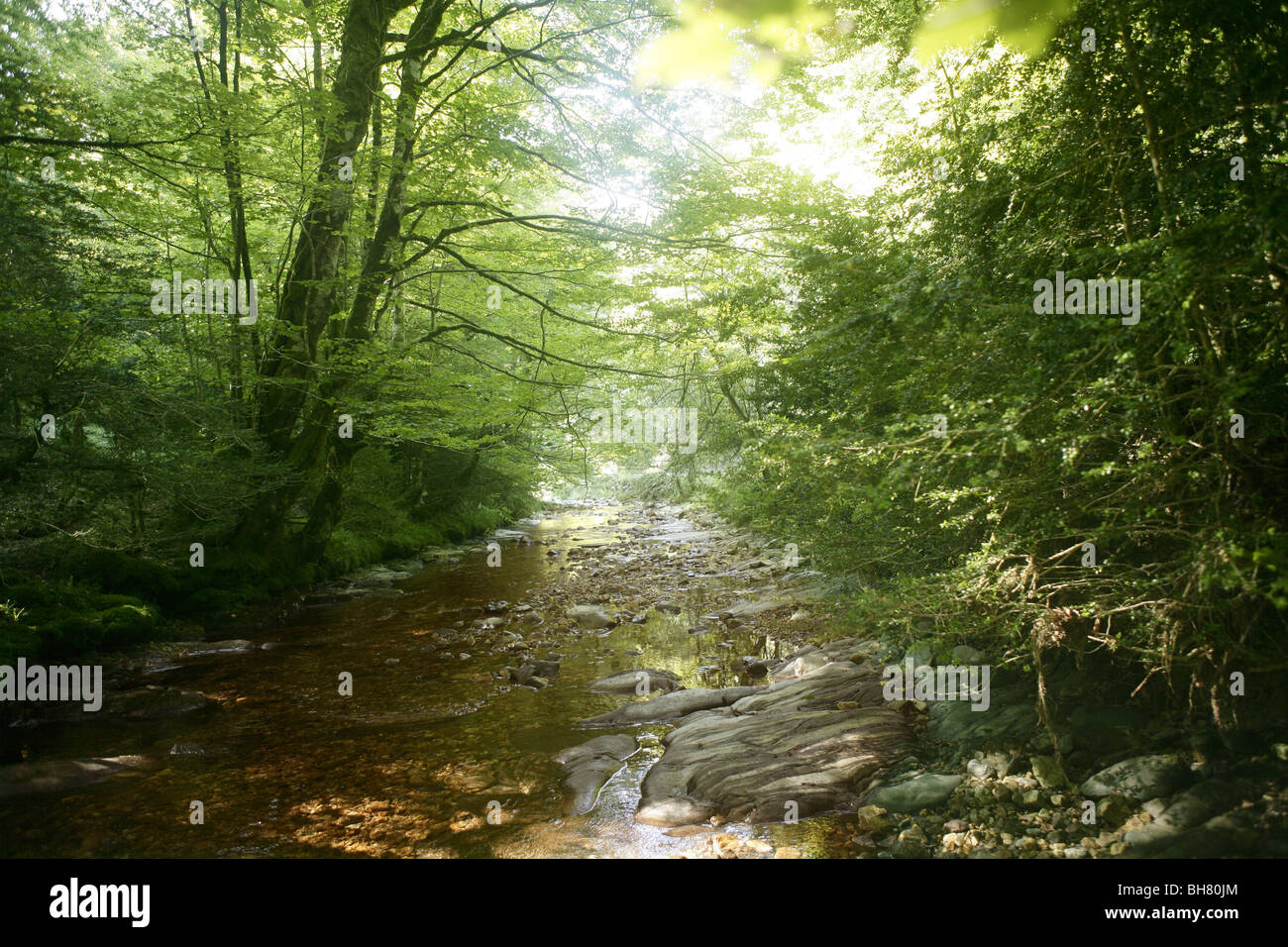 Irati river landscape hi-res stock photography and images - Alamy
