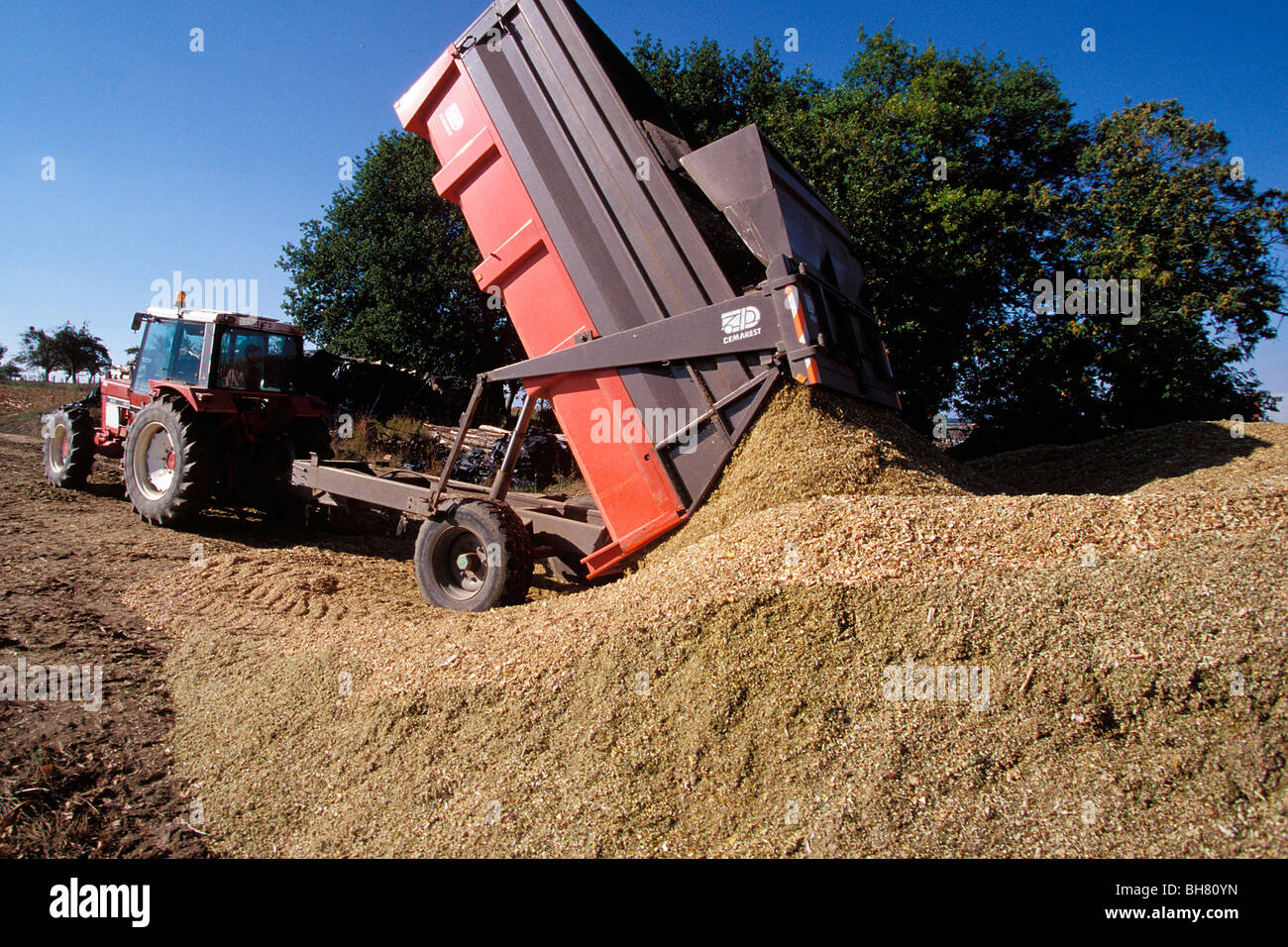 CORN ENSILING, EURE (27), FRANCE Stock Photo - Alamy