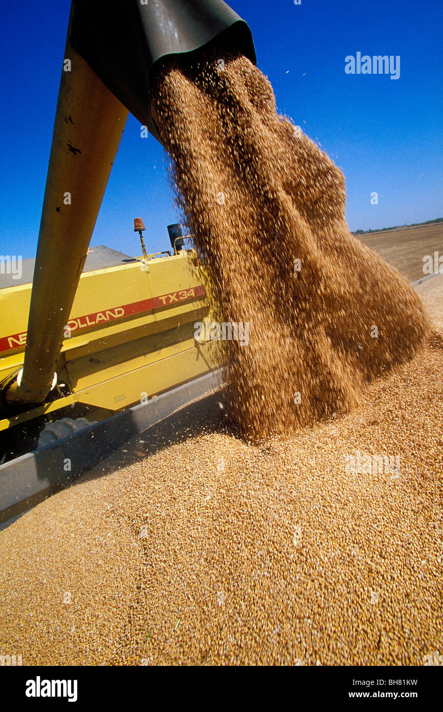 Emptying trailer load hi-res stock photography and images - Alamy