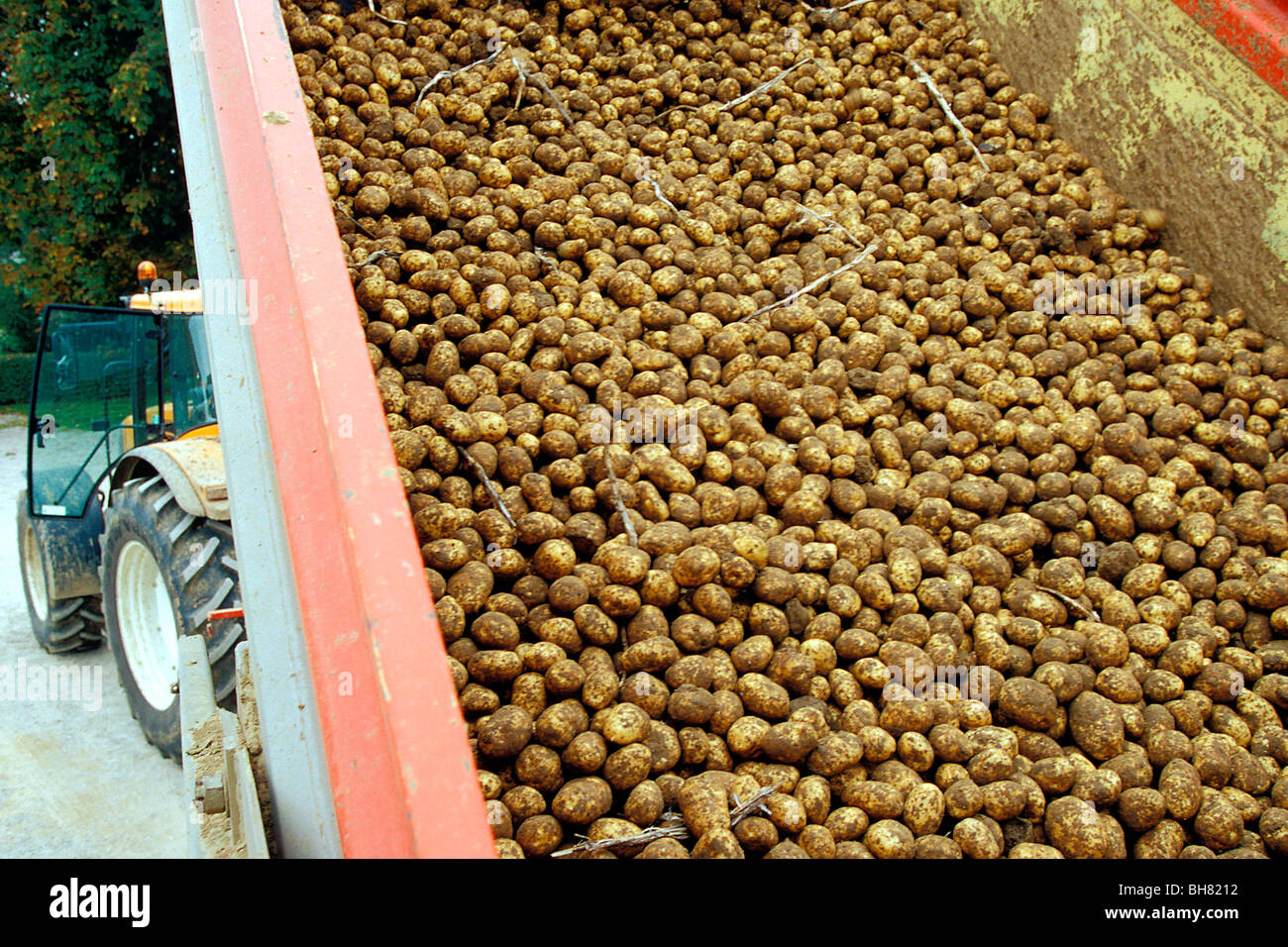 Potato unloading hi-res stock photography and images - Alamy