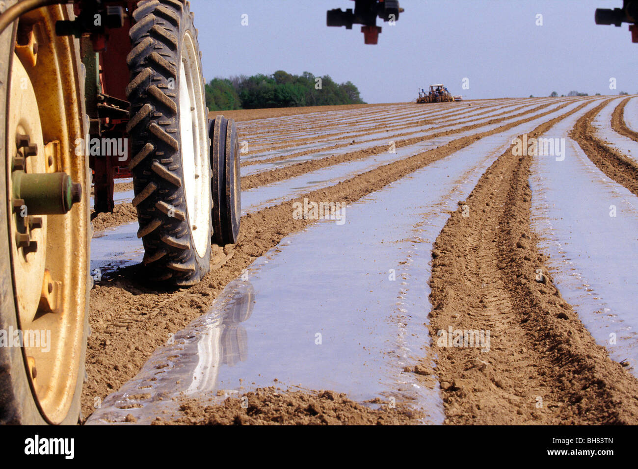 Biodegradable plastic corn hi-res stock photography and images - Alamy