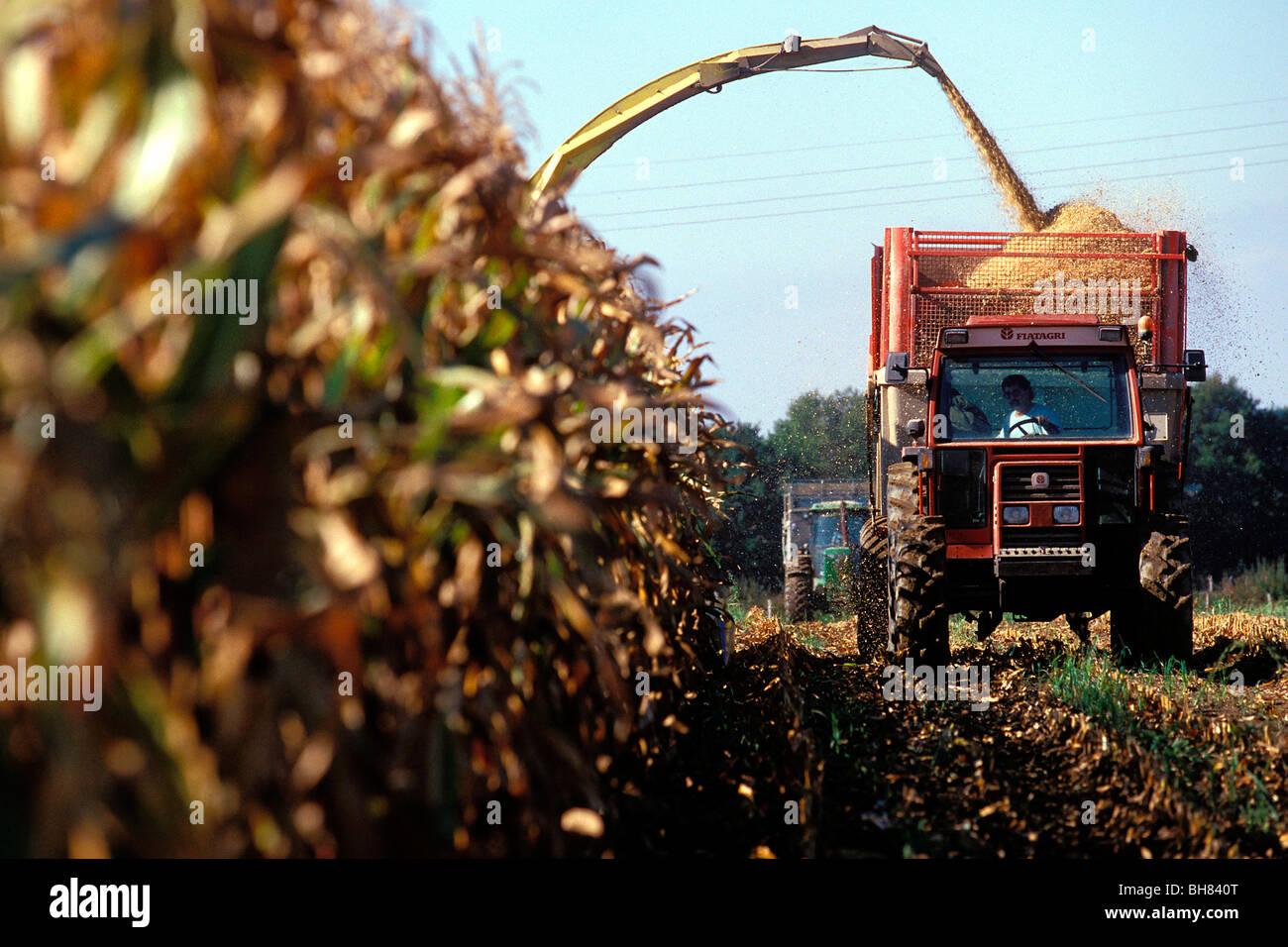 CORN ENSILAGE, ORNE (61), FRANCE Stock Photo - Alamy