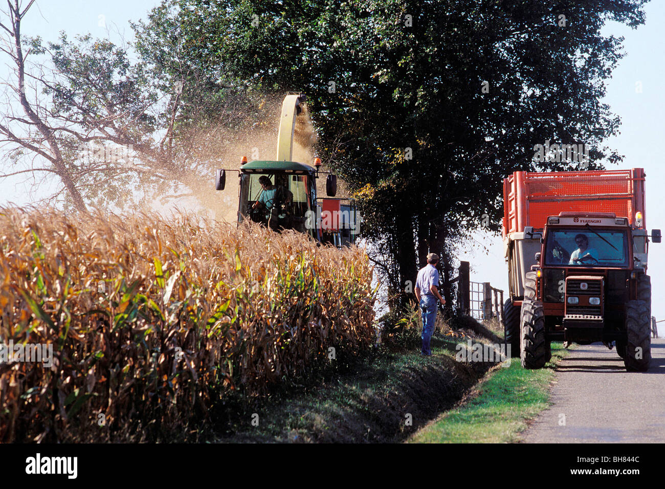 Cereal corn ensilage in the perche in normandy hi-res stock photography ...