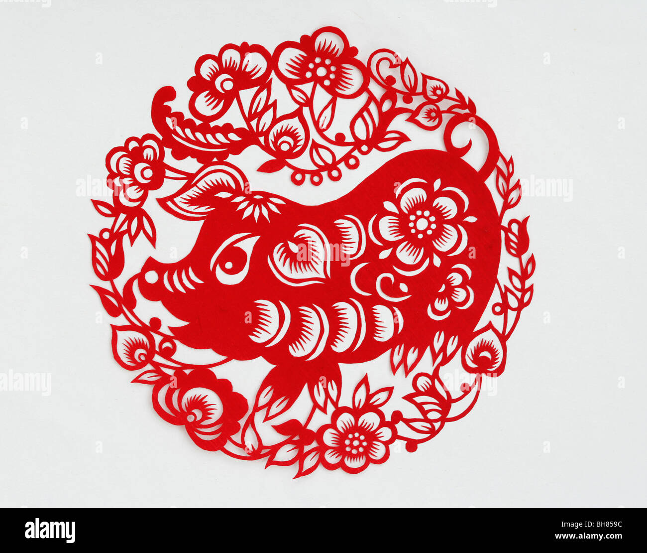 Torn paper side backgrounds hi-res stock photography and images - Alamy