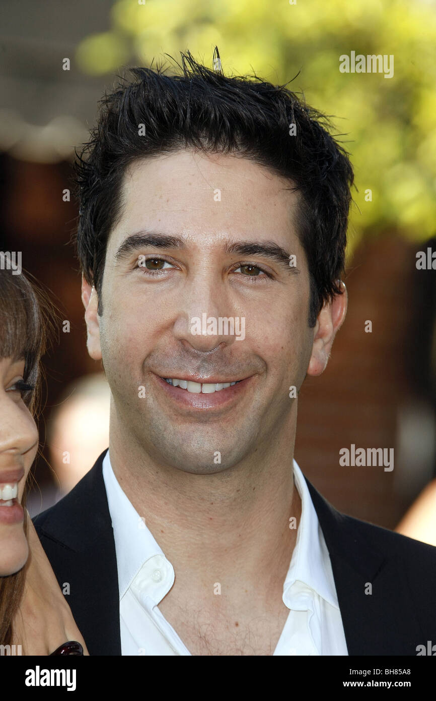 David schwimmer hi-res stock photography and images - Alamy