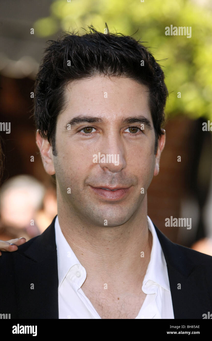 David schwimmer hi-res stock photography and images - Alamy