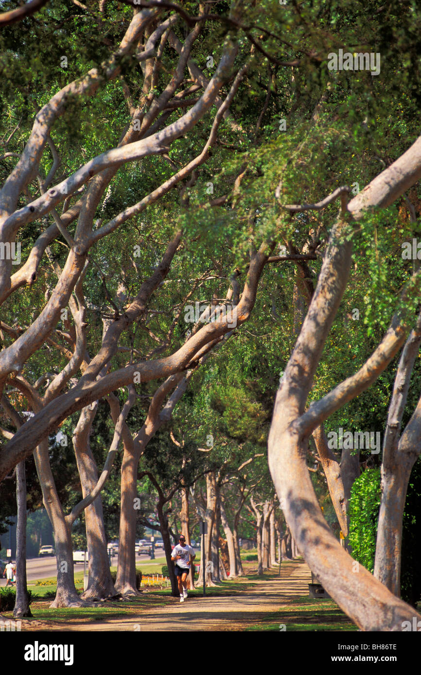 Roadside Path High Resolution Stock Photography and Images - Alamy