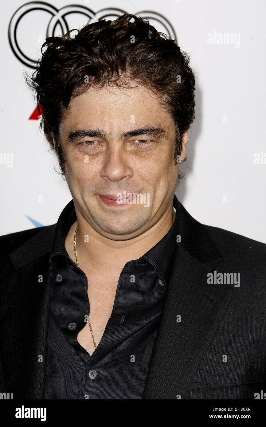 BENICIO DEL TORO ACTOR HOLLYWOOD LOS ANGELES CA USA 01/11/2008 Stock ...