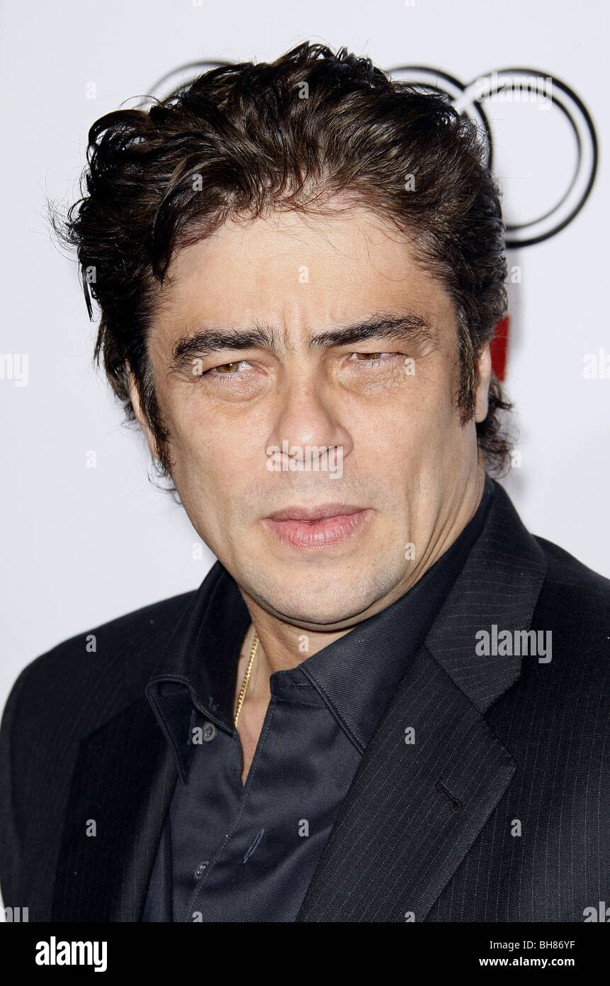 BENICIO DEL TORO ACTOR HOLLYWOOD LOS ANGELES CA USA 01/11/2008 Stock ...