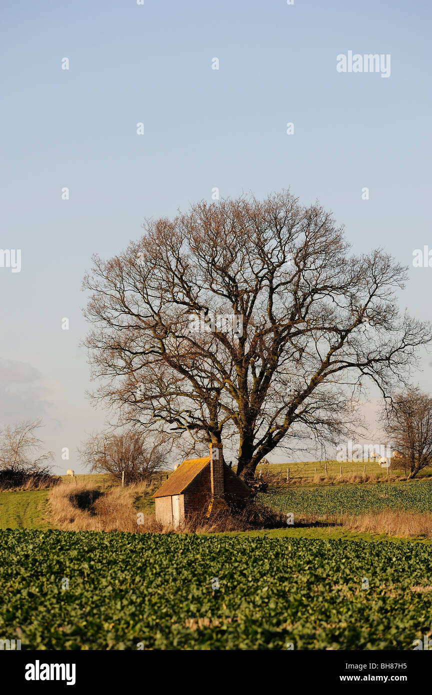 Romney marsh lookers hut hi-res stock photography and images - Alamy
