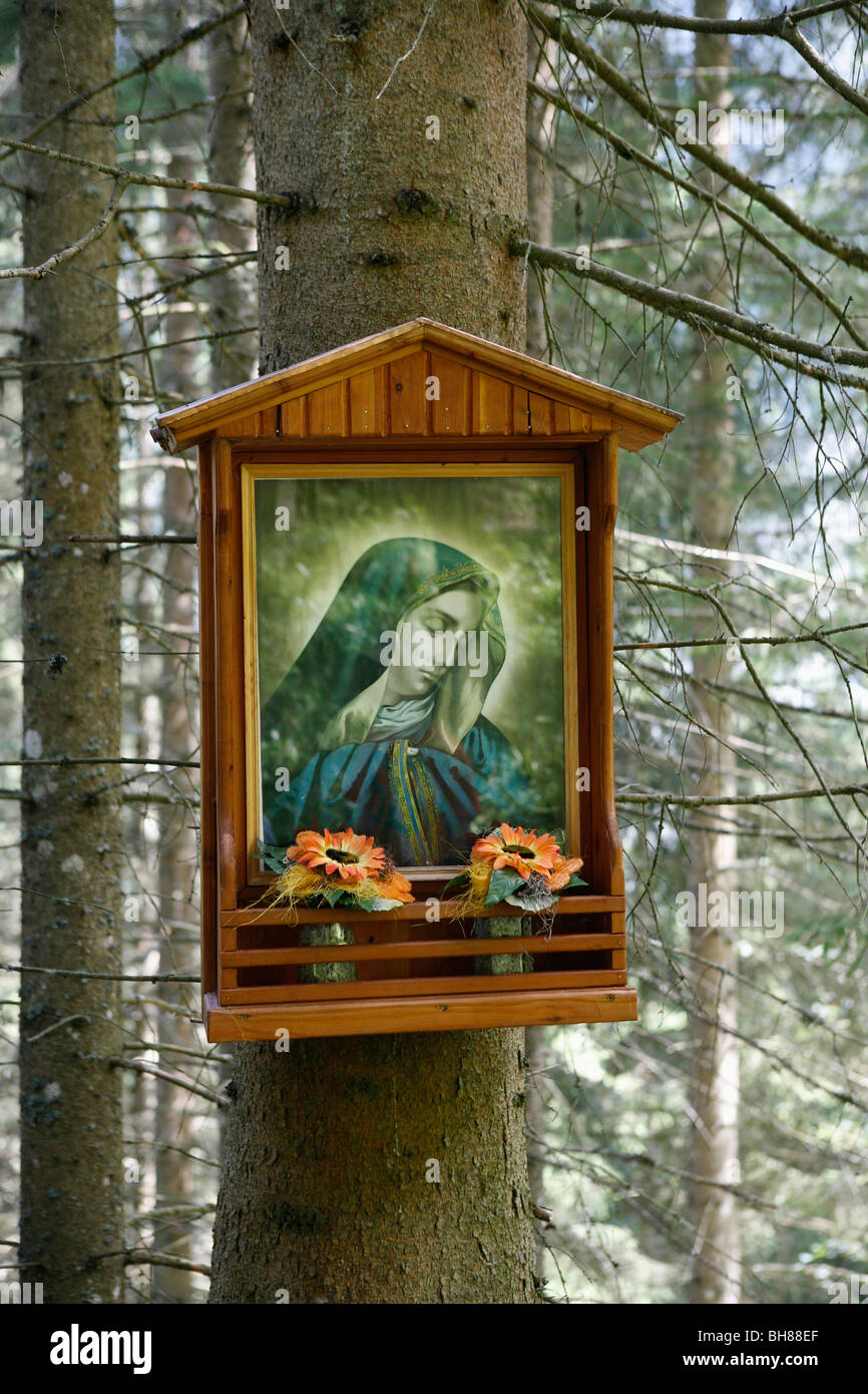 Shrine to the Virgin Mary hanging on a tree in the woods Stock Photo ...