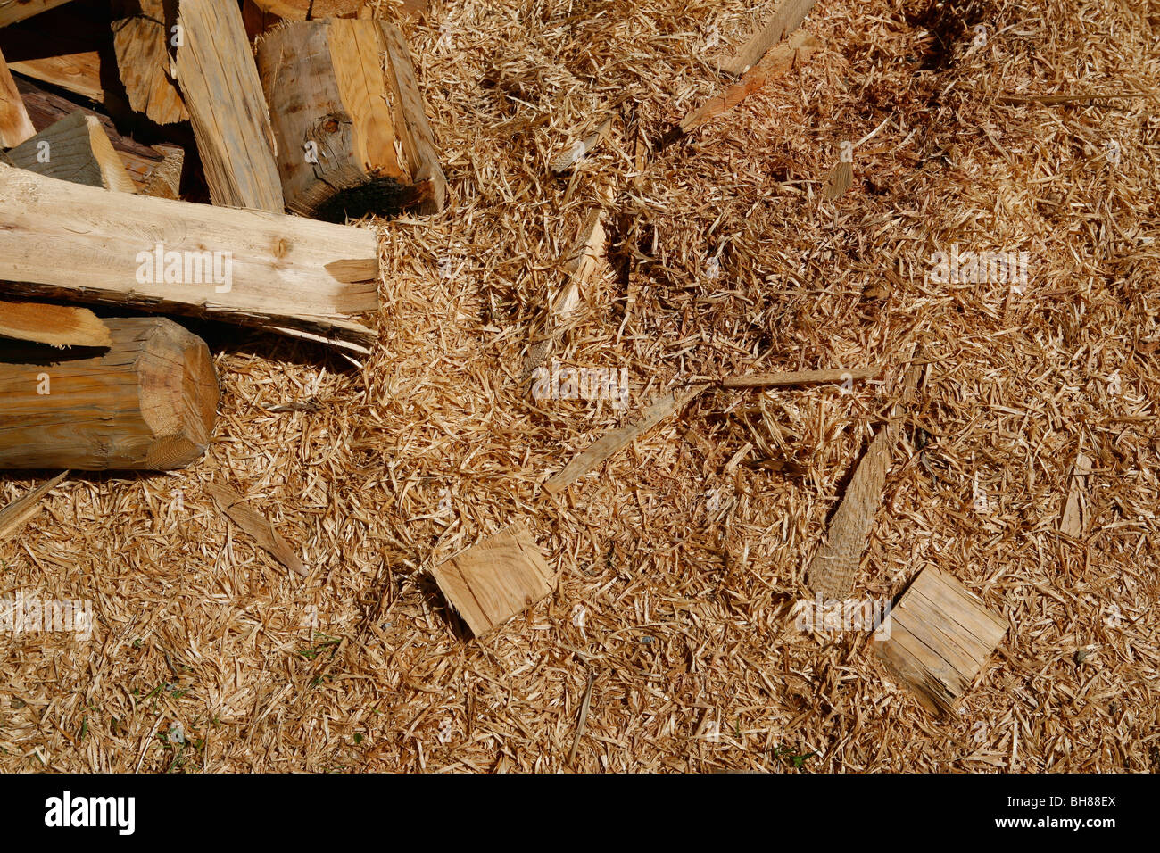 Sawdust and pieces of wood Stock Photo - Alamy