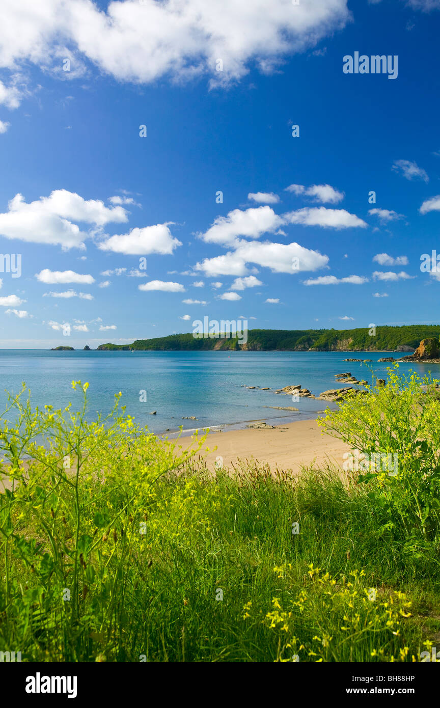 Coppet hall beach pembrokeshire hi-res stock photography and images - Alamy