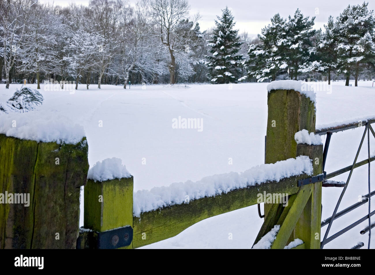 White wooden gates hi-res stock photography and images - Alamy