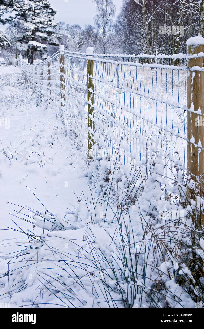 Strensall common hi-res stock photography and images - Alamy