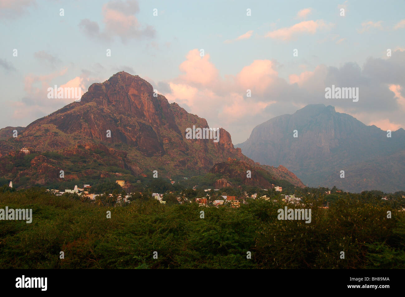 Trichi hi-res stock photography and images - Alamy