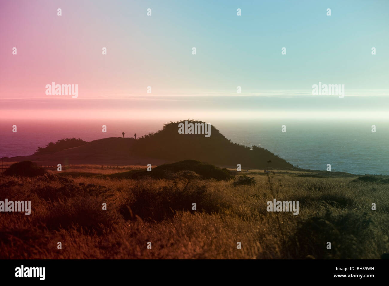 Sea grass field hi-res stock photography and images - Alamy