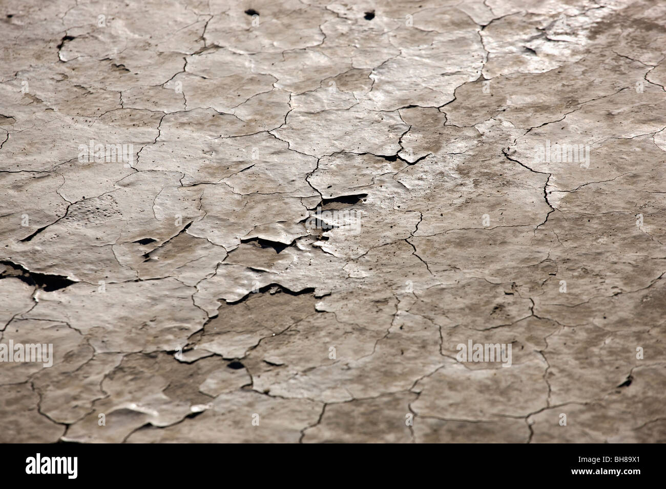 Detail of cracked earth Stock Photo - Alamy