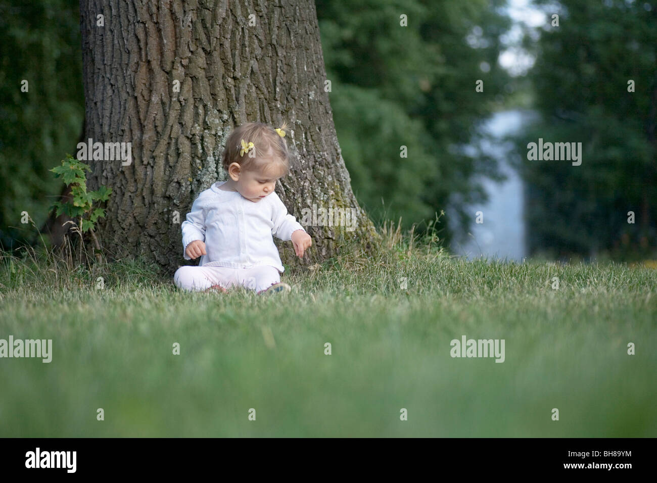 A baby girl sitting under a tree Stock Photo - Alamy