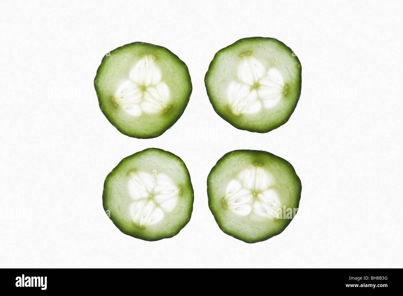 Four slices of an organic cucumber on a lightbox Stock Photo - Alamy