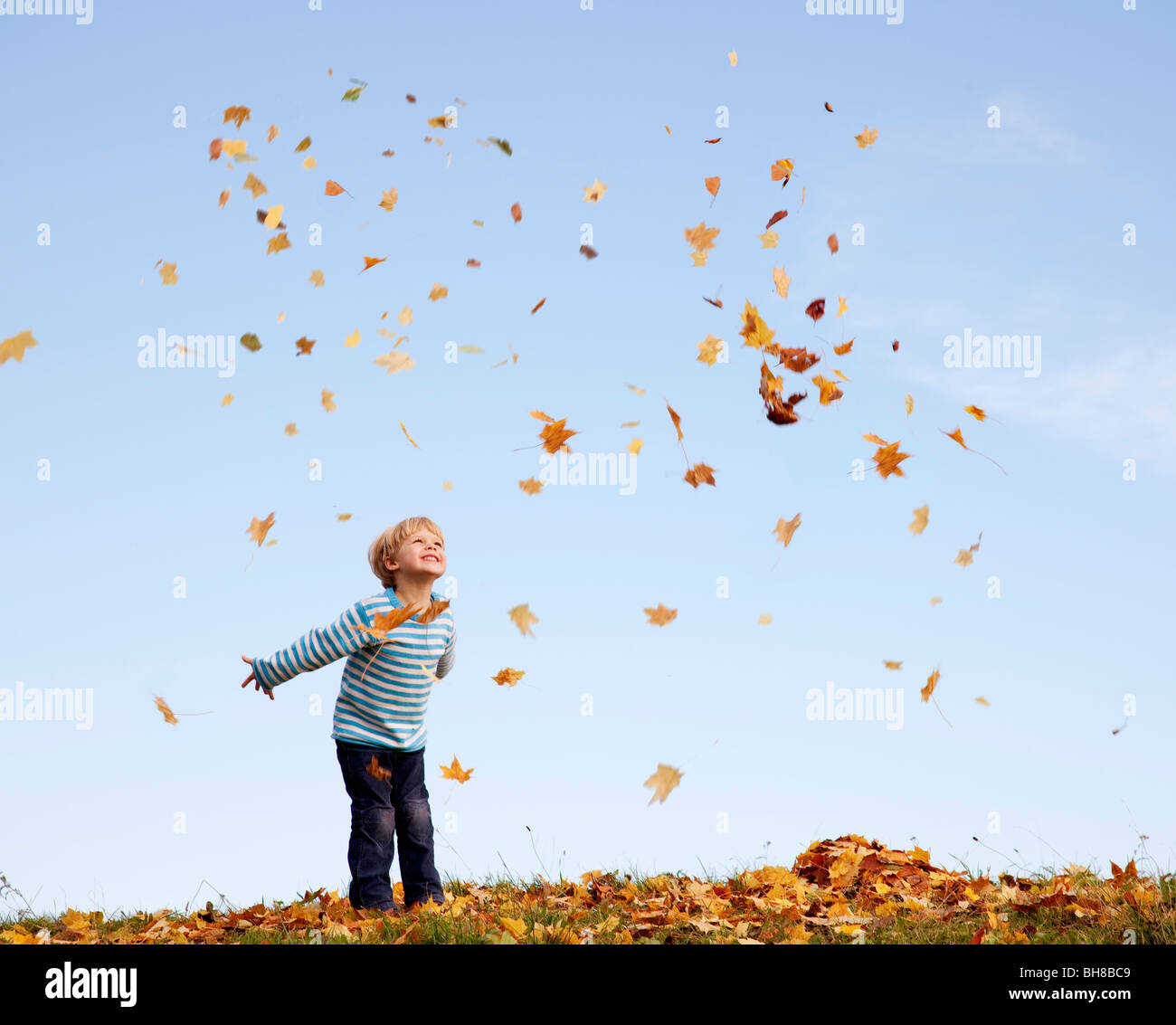 boy throwing autumn leaves into the air Stock Photo - Alamy