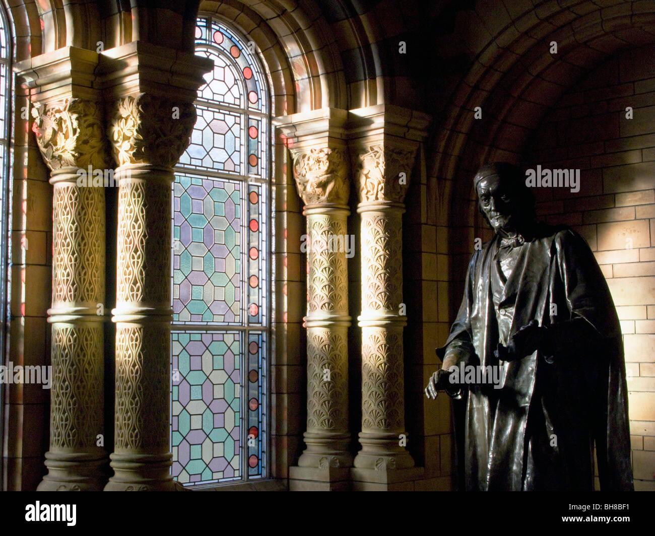UK.Window at the Natural History Museum in London Stock Photo - Alamy