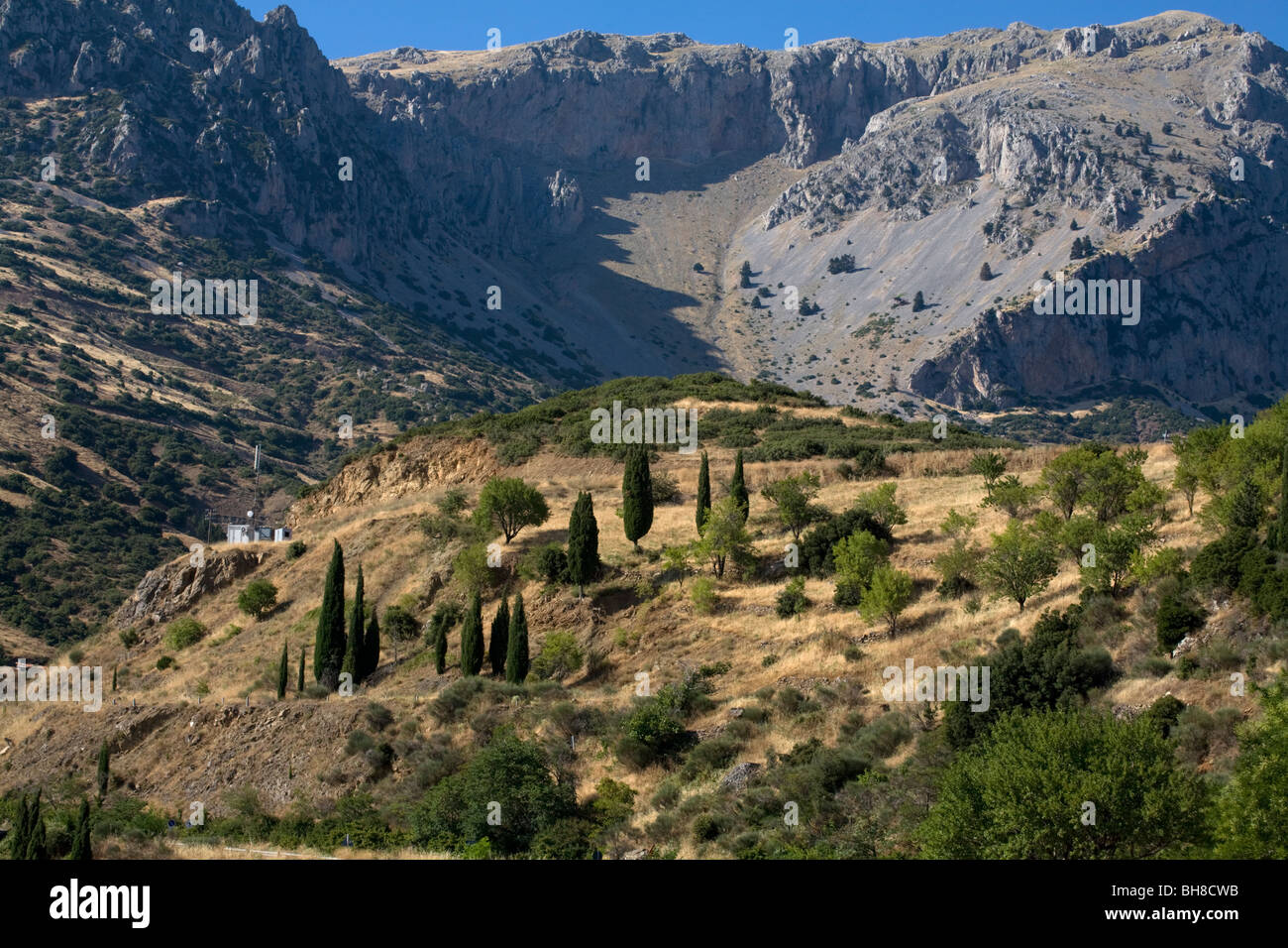 Parnassos hi-res stock photography and images - Alamy