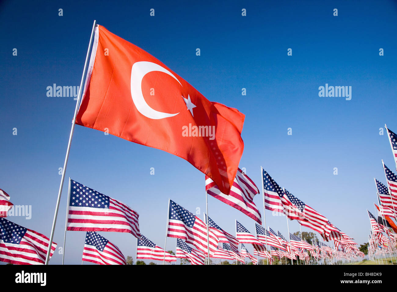 3000 Flags, September 11, 2009, Malibu CA Stock Photo - Alamy