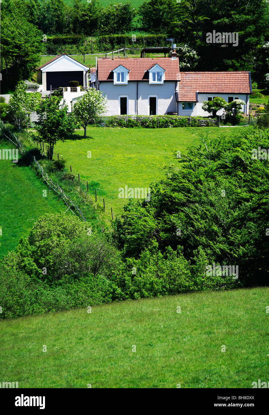 detached house exterior view Stock Photo - Alamy