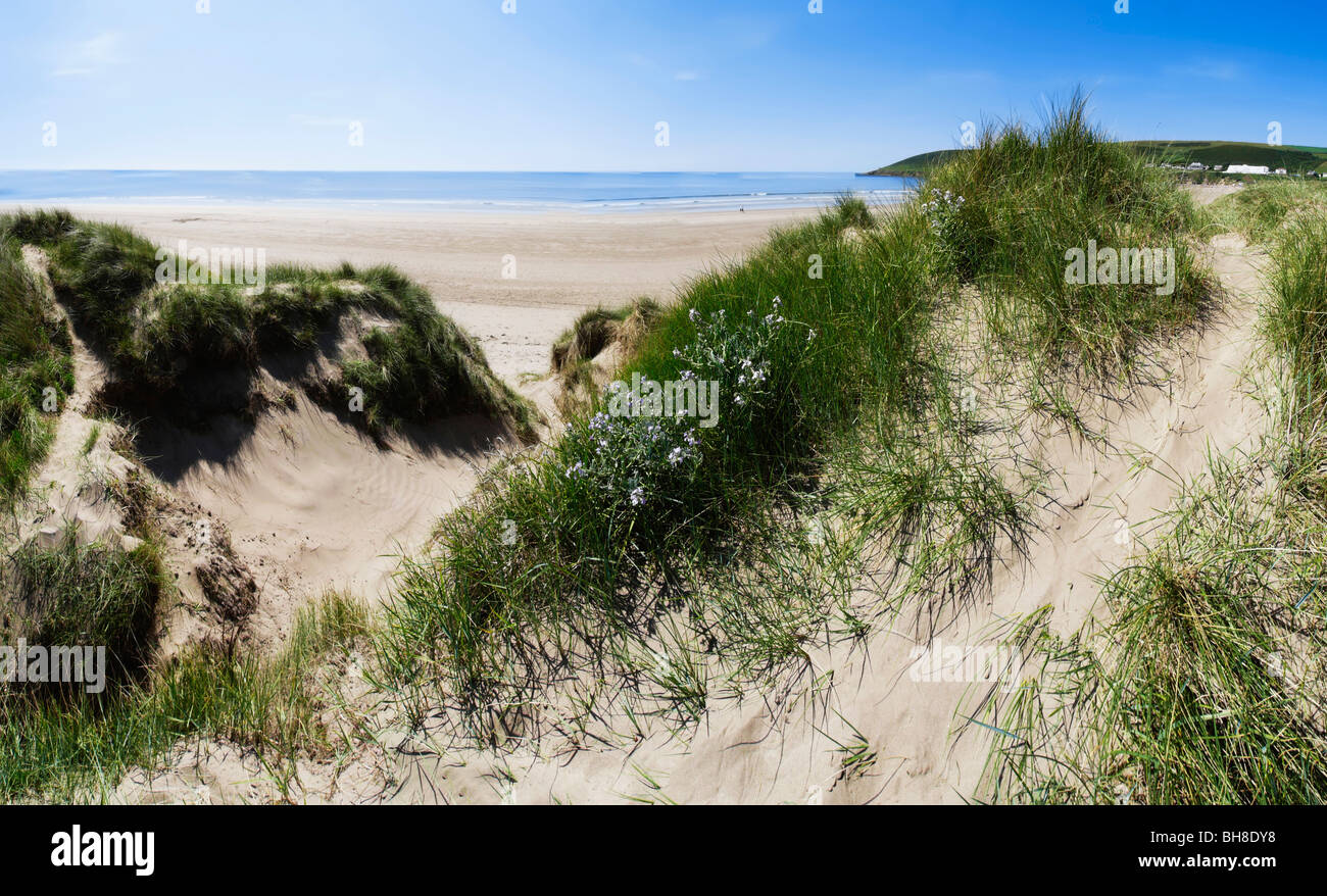 sand dunes and beach at saunton sands devon england uk Stock Photo - Alamy
