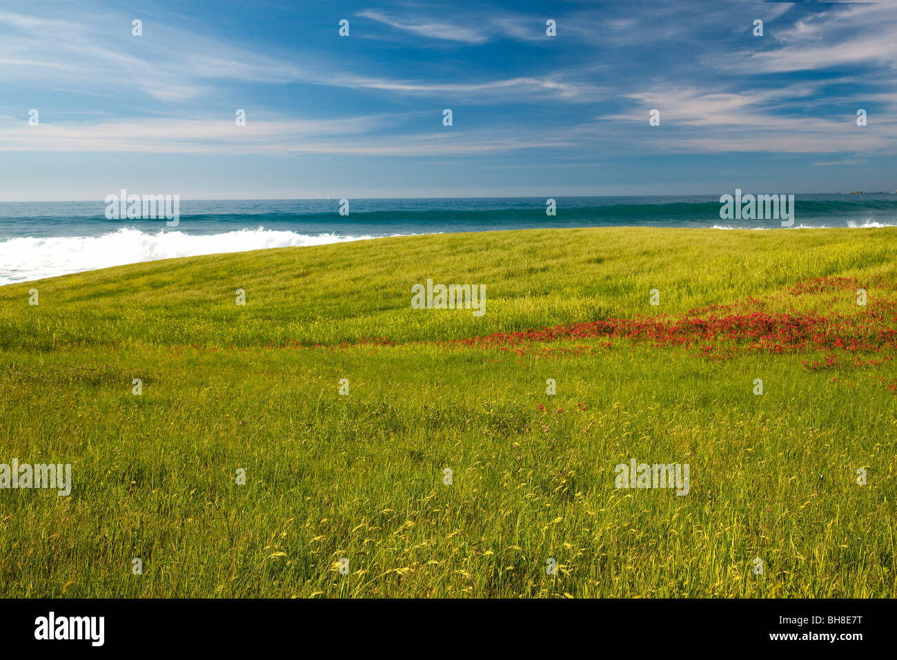 Green field with an amazing view of the beach on the background Stock ...