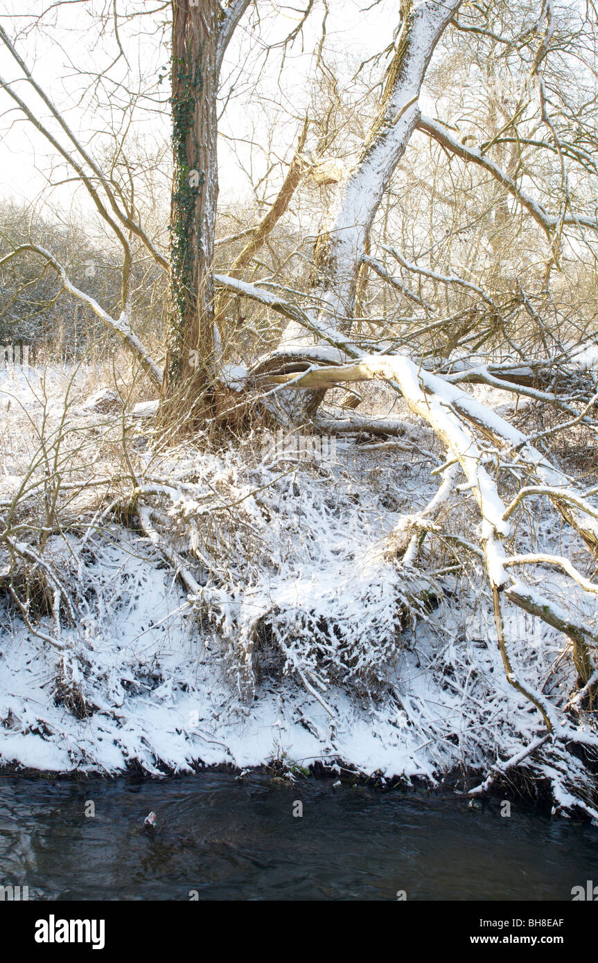 snowy woodland and water scene winter in leicestershire Stock Photo - Alamy