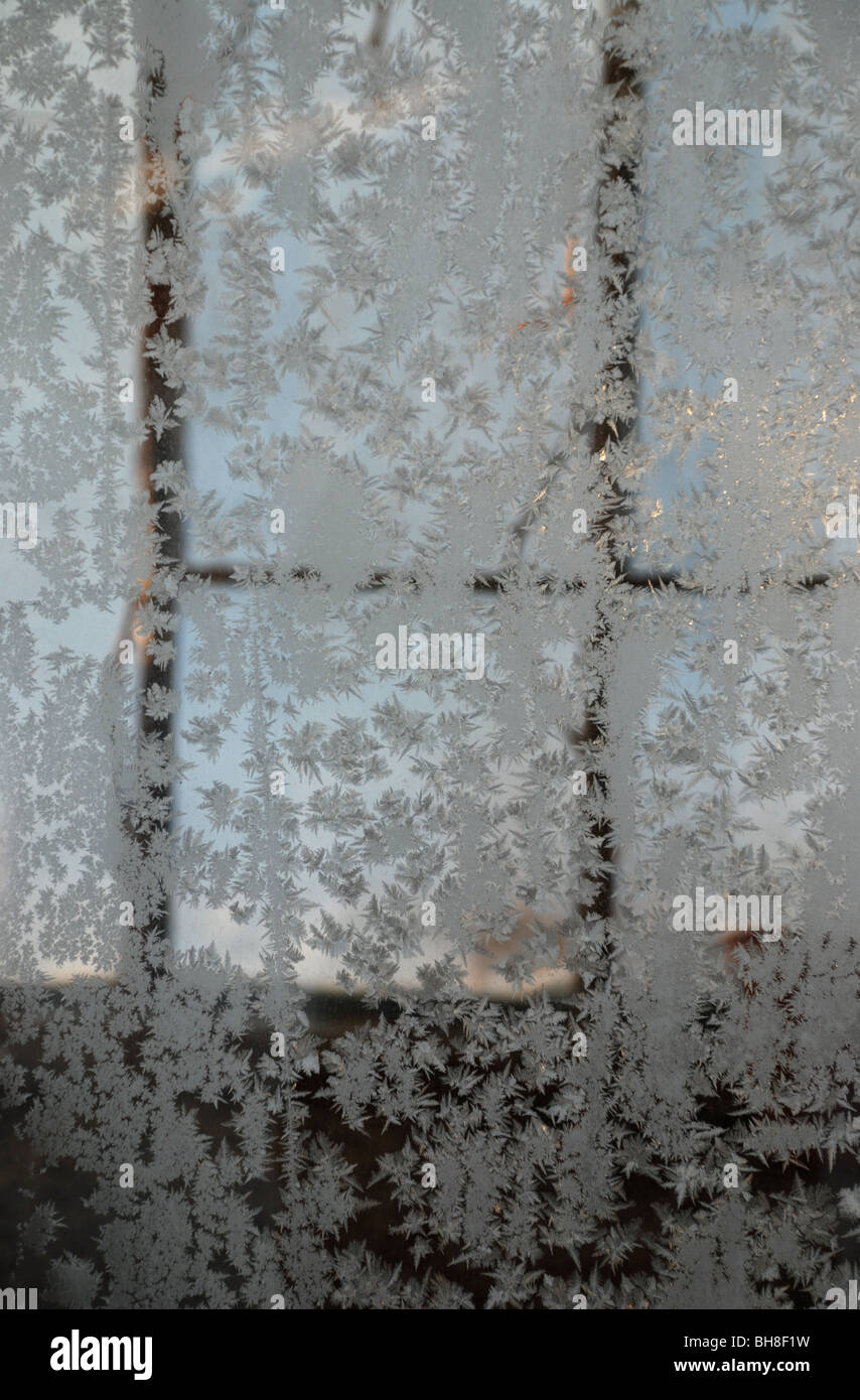 frost on glass Stock Photo - Alamy