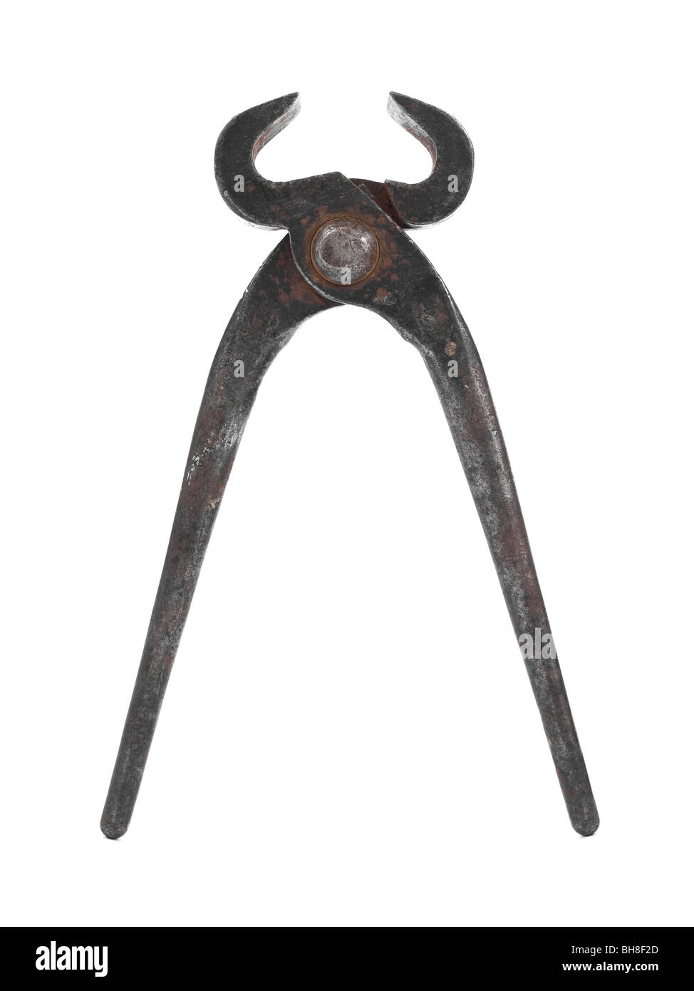 Pincers hi-res stock photography and images - Alamy