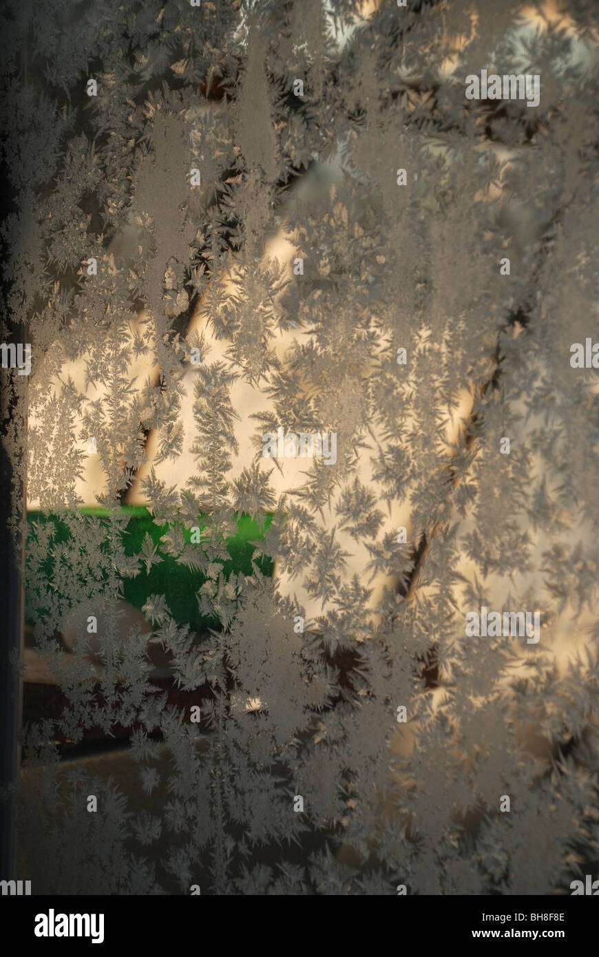 frost on glass Stock Photo - Alamy