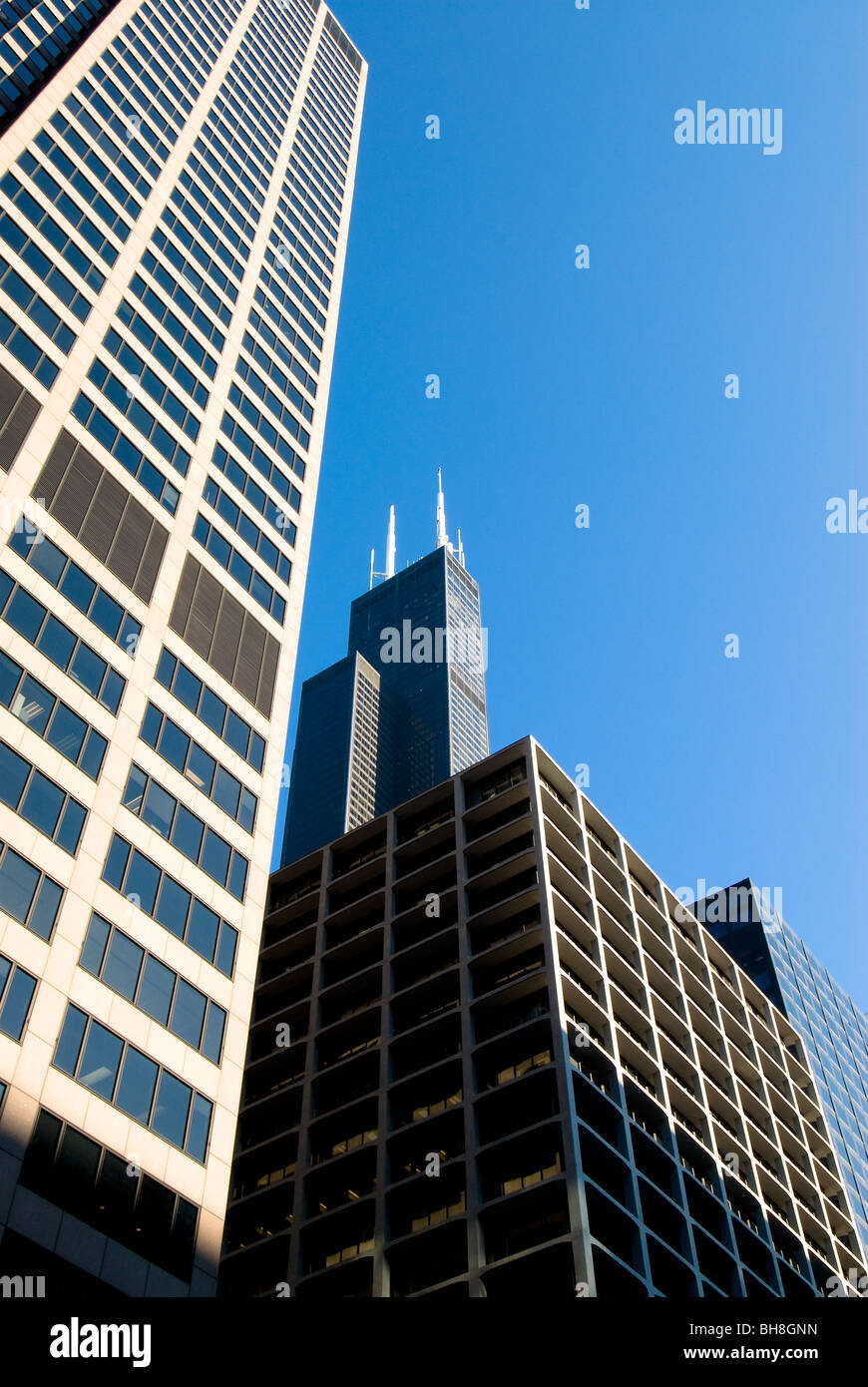 High-rise buildings with Sears Tower in center background, Chicago ...