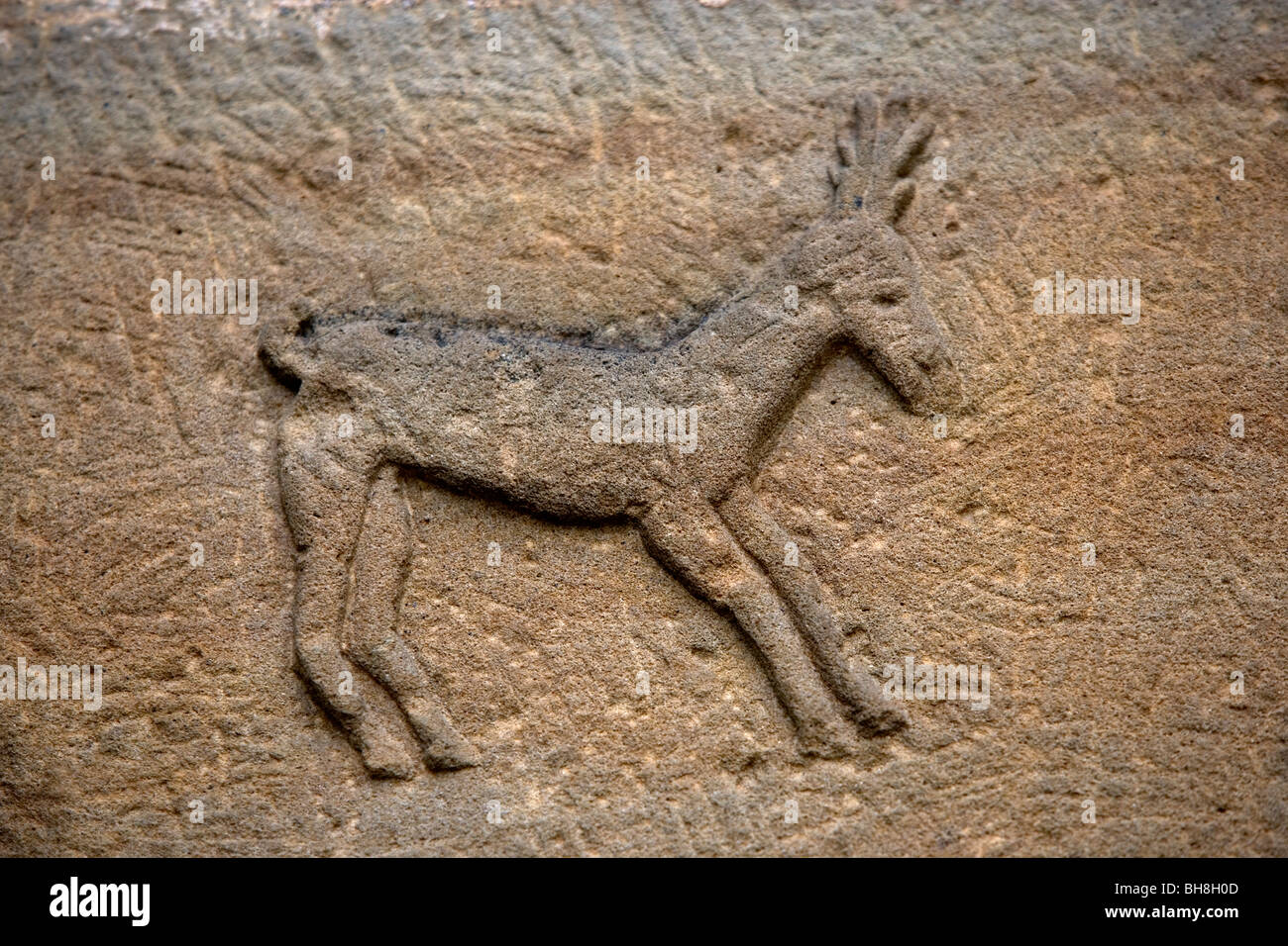 Lopouchanski hi-res stock photography and images - Alamy