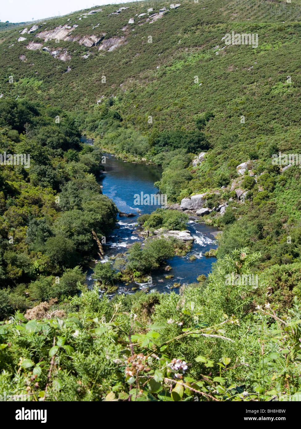 A River in the Dumbria Region of Galicia, Spain Stock Photo - Alamy
