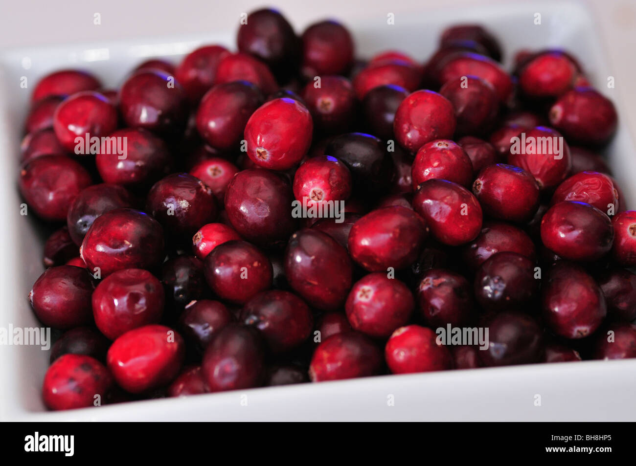 White cranberries hi-res stock photography and images - Alamy
