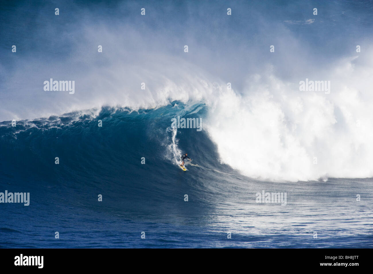 Surfing at Jaws; Maui , Hawaii Stock Photo - Alamy