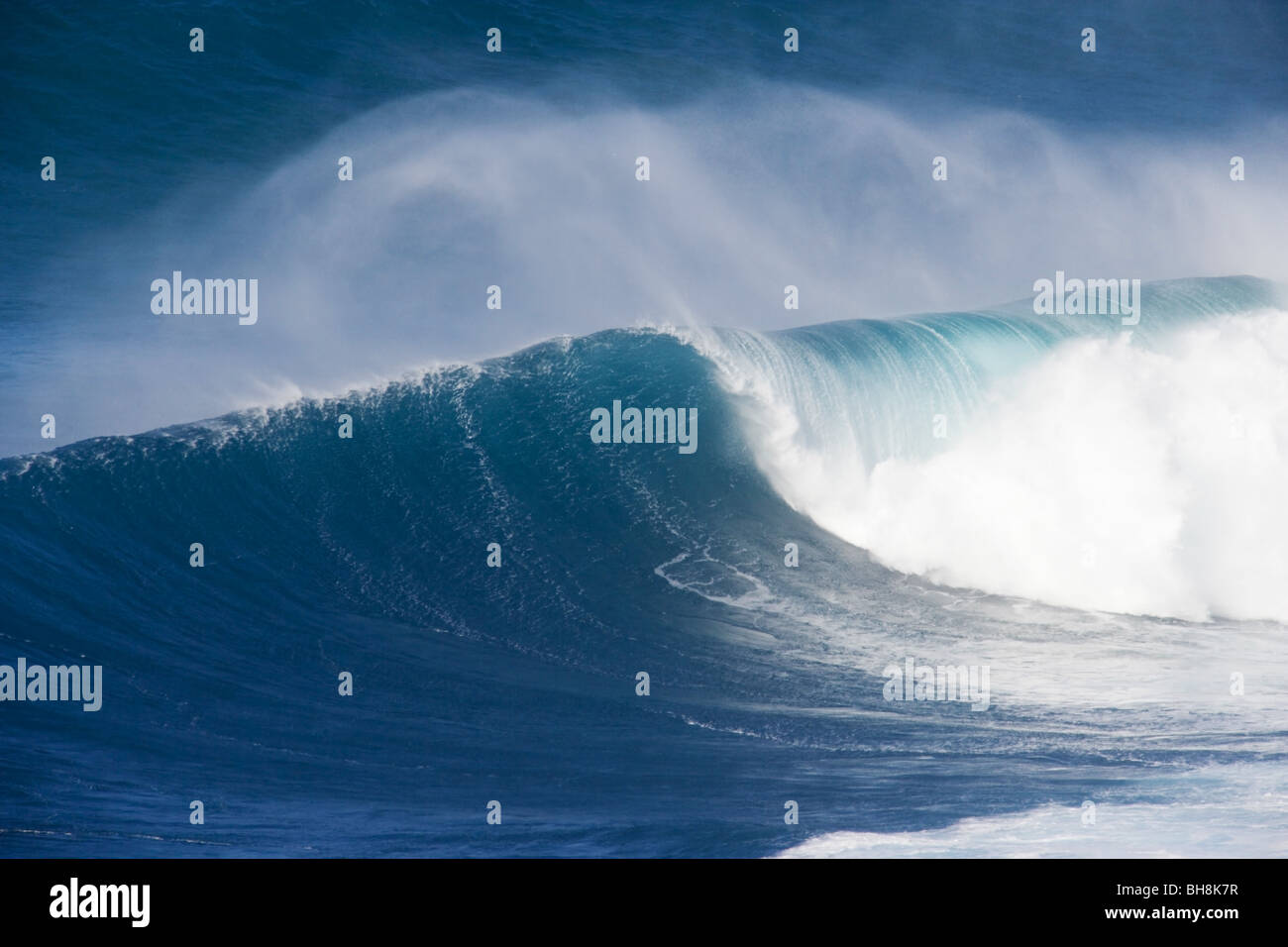 Surfing at Jaws; Maui , Hawaii Stock Photo - Alamy