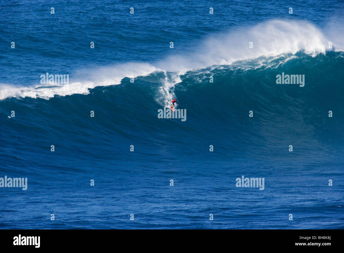 Surfing at Jaws; Maui , Hawaii Stock Photo - Alamy