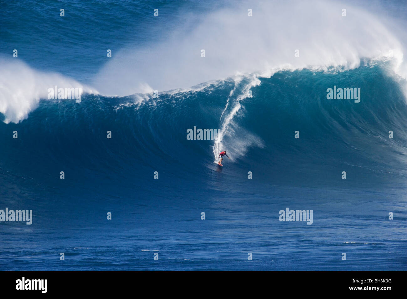 Surfing at Jaws; Maui , Hawaii Stock Photo - Alamy