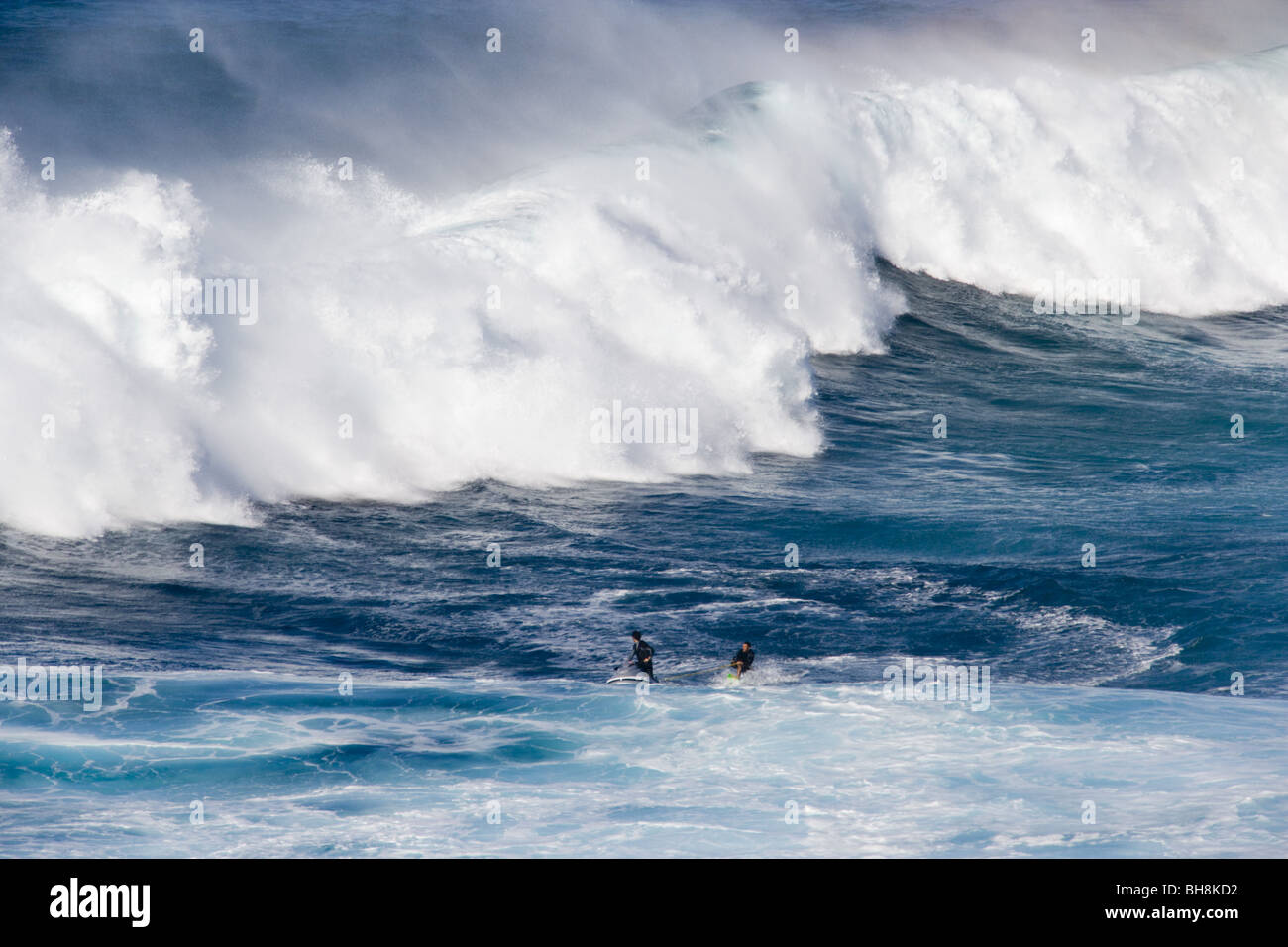 Surfing at Jaws; Maui , Hawaii Stock Photo - Alamy