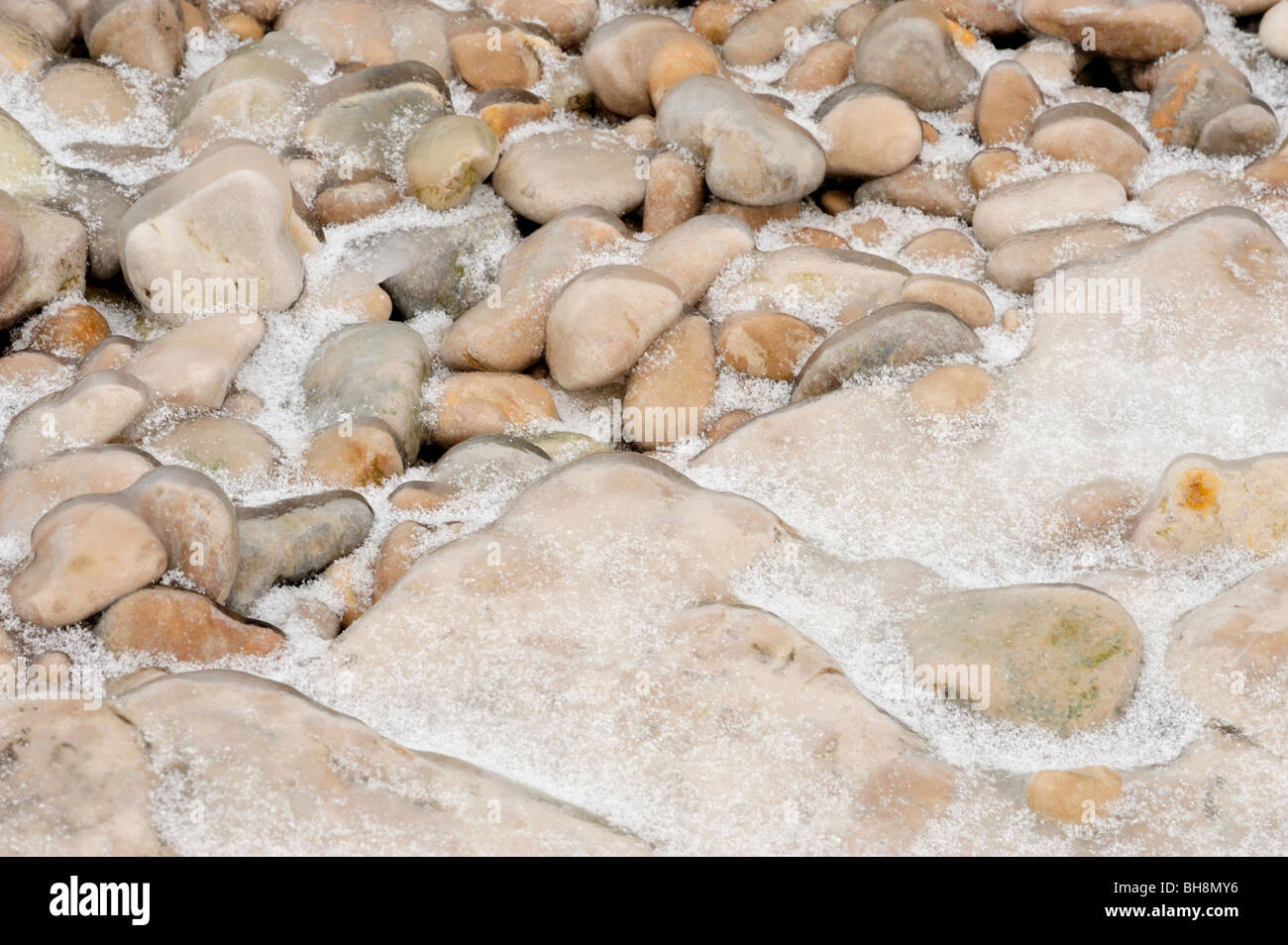Lake Manitoba shoreline limestone rocks and pebbles coated with early ...